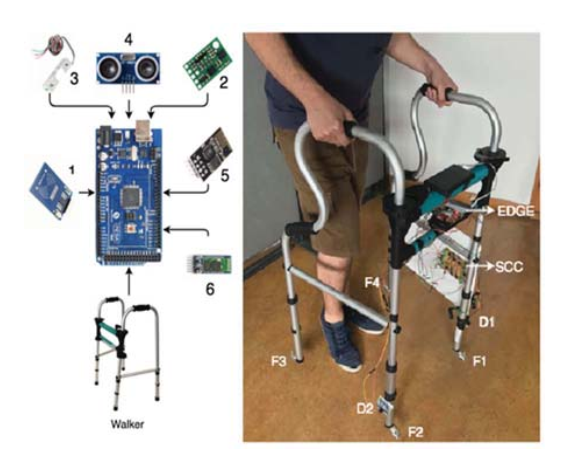 Health Monitoring Through Data From Wearables