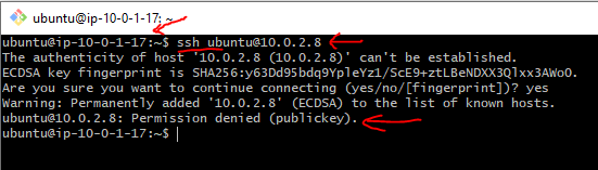 AWS Basics: Bastion Hosts and NAT - DZone Cloud