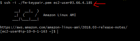 AWS Basics: Bastion Hosts and NAT - DZone